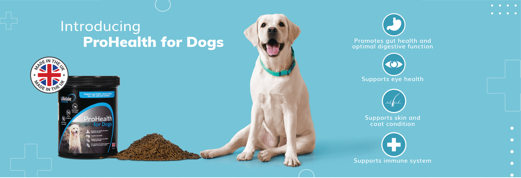 Lillidale Animal Health – Lillidale Animal Health LLC