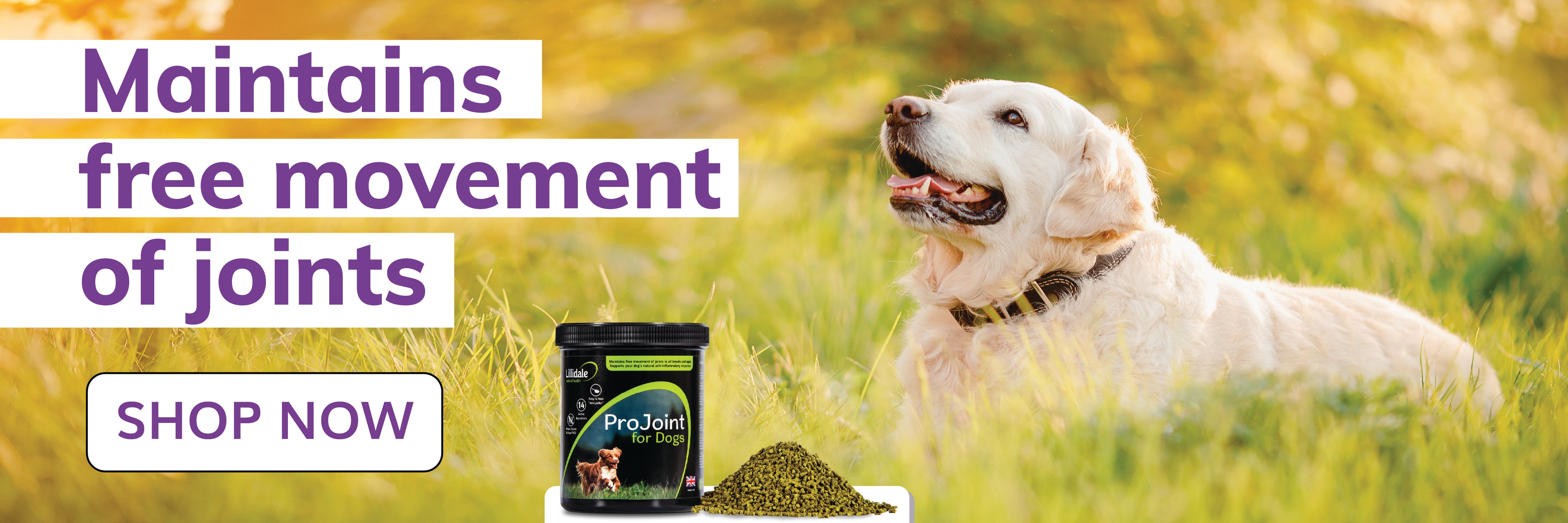 Lillidale Animal Health – Lillidale Animal Health LLC